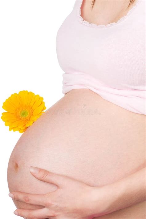 Muchacha Embarazada Con La Flor Imagen De Archivo Imagen De Belleza