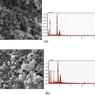 A SEM And EDS Of SiO2 Nanospheres B SEM And EDS Of SiO2 ZnO CS