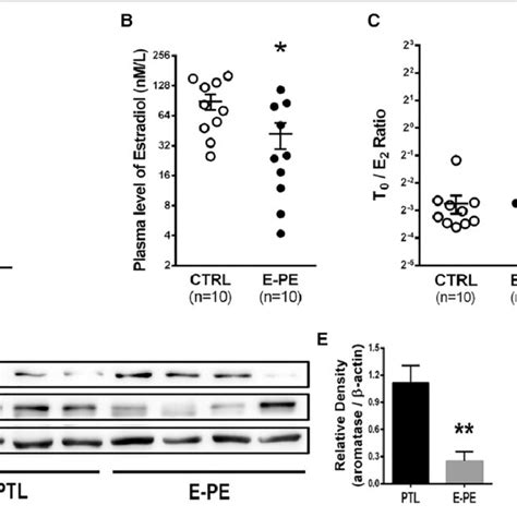 Levels Of Circulating Testosterone And Estradiol As Well As The