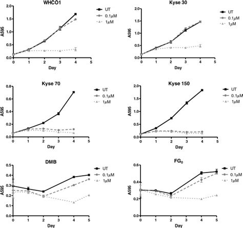 Sensitivity Of Oscc Cell Lines And Normal Fibroblasts To 17 Aag Oscc