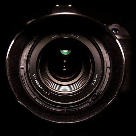 The Shutter Bug🐞 Thechroniclesofashutterbug On Threads