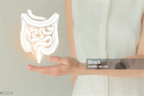 손에 가상 창자를 들고 흰색 옷을 입은 여자 한리원근기 해독 및 헬스케어 헬스케어 병원 서비스 컨셉 스톡 사진 창자에 대한 스톡