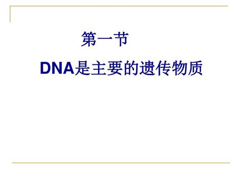 Dna Word