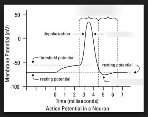 Depolarization Graph