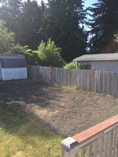 Siri Ously Scannerbrainscannerbrain