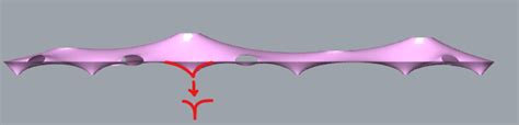 Tensile Structure Grasshopper Mcneel Forum