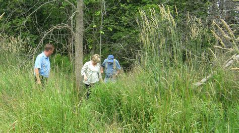 Air Park Lancaster Dennis Hutter Burlington Gazette Local News Politics Community