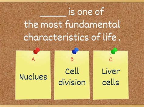 Structure Of Chromosomescell Cycle And Cell Division Quiz