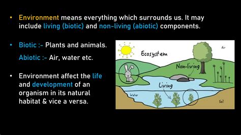 Solution Our Environment Class 10 Notes Studypool