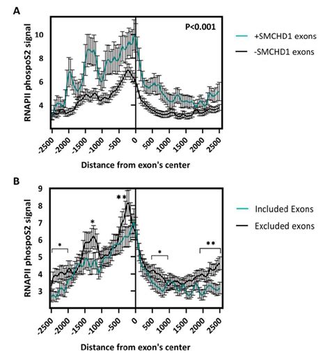 smchd1 binding is associated with slow elongation rate of rnapii a b