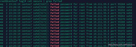 Hw蓝队｜应急响应常见入侵痕迹检查cat Securegrep Failedawk Print 11 Csdn博客