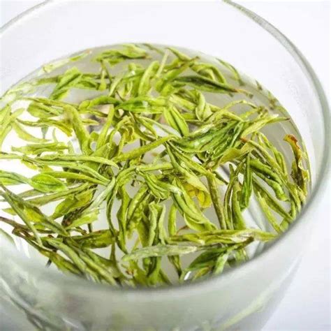“三分茶，七分泡”，想要泡出一杯好茶，温度、投法都大有讲究！做法特点注入