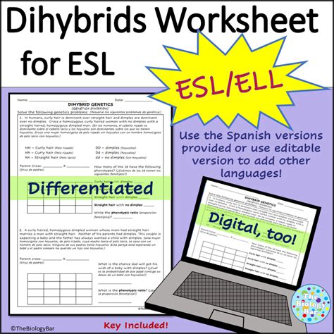 Esl Biology Genetics Dihybrid Problems Made By Teachers
