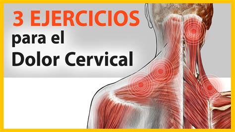 3 Ejercicios Para La Cervicalgia O Dolor Cervical Imprescindibles