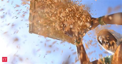 India Rice Production India May See Up To 12 Million Tonnes Slump In