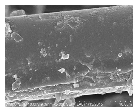 FE SEM Micrographs Of Fractured Fiber Of Ae Glass Epoxy Composites