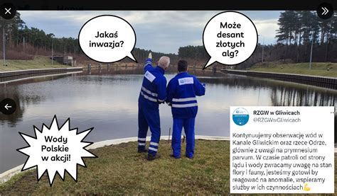 Czas na Odrę on Twitter Tymczasem WodyPolskie dalej pozorują
