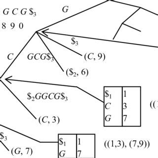 The Suffix Tree For The String S ATTAGTACA Download Scientific Diagram