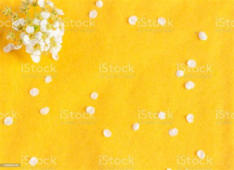 밝은 봄 배경 노란색과 흰색의 조합은 기쁨의 분위기를 만듭니다 공간을 복사 0명에 대한 스톡 사진 및 기타 이미지 0명 개념 계절 Istock