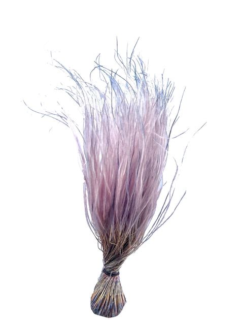 Feather Grass Drysupply