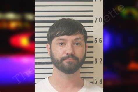 Austin Reddick Toombs County Jail Bookings