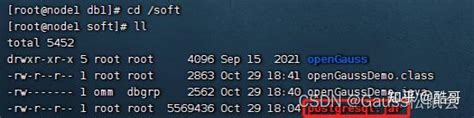 Linux Javajdbc Opengauss