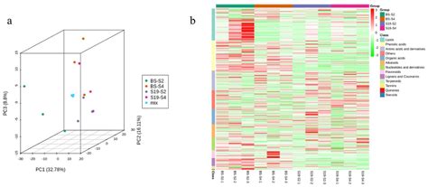 Widely Targeted Metabolomics Analyses Clarify The Biosynthetic Pathways Responsible For