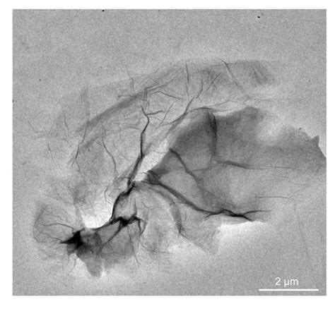 Coatings Free Full Text Facile Synthesis Of Polyacrylic Acidgraphene Oxide Composite