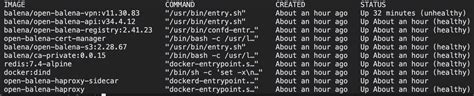 Device State Not Updating After Upgrade And New Ssl Cert Openbalena