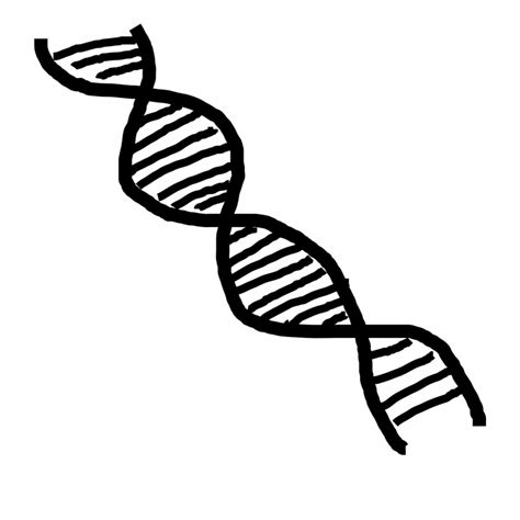 Free Dna Helix Png Download Free Dna Helix Png Png Images Free
