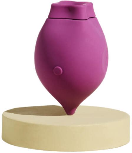 6 Air Pulsing Vibrators That Feel Like Oral Sex New Self New Life