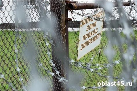 В Госдуме рассмотрят законопроект об участии заключённых в спецоперации