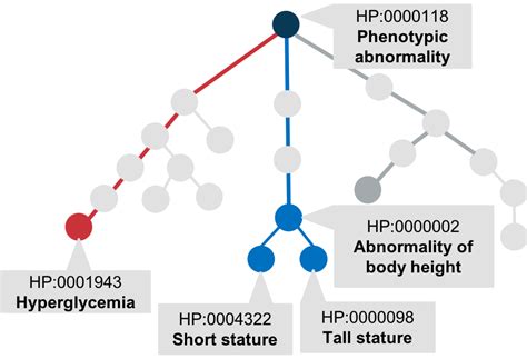 integrating laboratory tests for deep phenotyping and biomarker