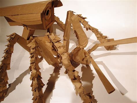 Pictures Of Haley Higgins