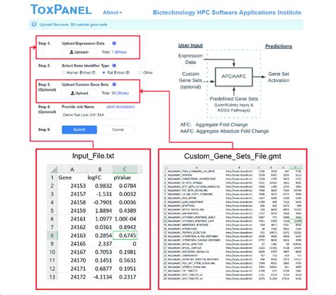 The Figure Illustrates The Two Input File Formats For Step 1 And Step Download Scientific