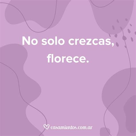Frases Para Estados De Whatsapp Las 70 Mejores Propuestas 60 Off