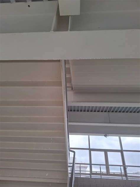 體育館怎麼下雨了 淡江大學板 Dcard