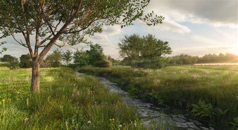 The Ruby Cube Ltd Posted On Linkedin