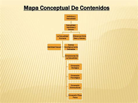 Unidad De SexualidadgÉnero E Identidad Ppt Descargar
