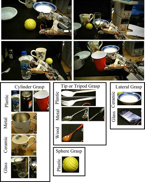 Sample Images For The Exoskeleton Grasping Environment Object