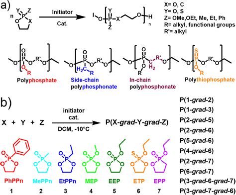 Synthesis Of Polyphosphoester Copolymers Using Organocatalyzed