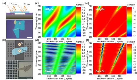 Schematic Diagrams Of Multi Reflection Model And Optical Microscopy Download Scientific Diagram