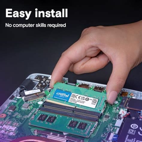 Crucial CT8G4SFS824A 8 GB (1x 8GB) 2400MHz DDR4 C17 | RAM Memories ...
