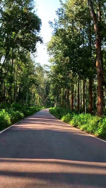 Incredible Coorg In 4k #kodagu - YouTube