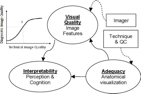 Figure 1 From A Cognitive Perspective On Subjective And Objective