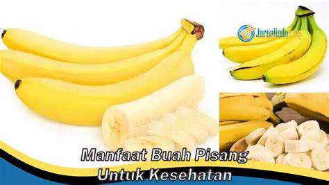 Temukan 4 Manfaat Buah Pisang Untuk Kesehatan Yang Jarang Diketahui