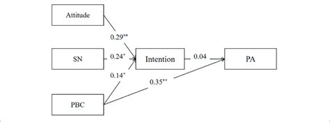 Structural Equation Model From The Tpb Constructs To Pa Among Wage