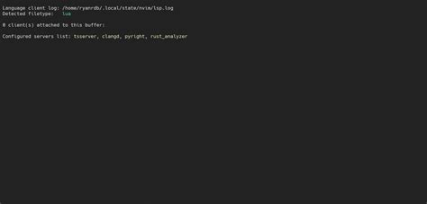 unable to setup lua ls though other servers work r neovim
