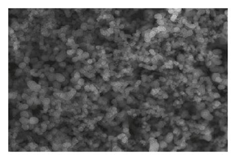 Sem Image Of A Ggbfs B Ns And C Nmk Used In This Study