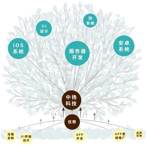 鞋类商城app软件开发的市场情况以及好处分析 知乎